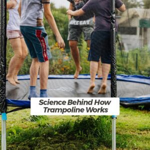 How Trampoline Works? Science Behind the High Bounce
