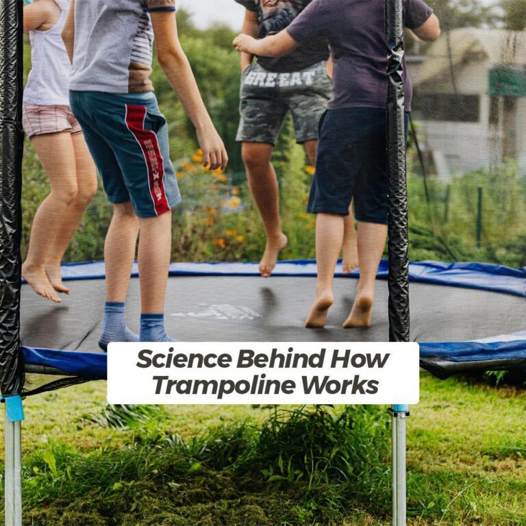 How Trampoline Works? Science Behind the High Bounce